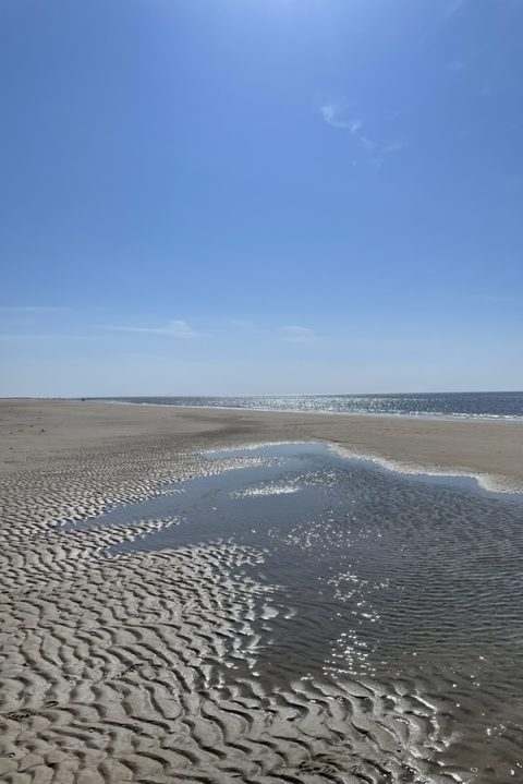 Rømø - meine Tipps für die südlichste dänische Insel